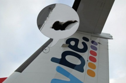 Human Factors of Dash 8 Panel Loss - Aerossurance